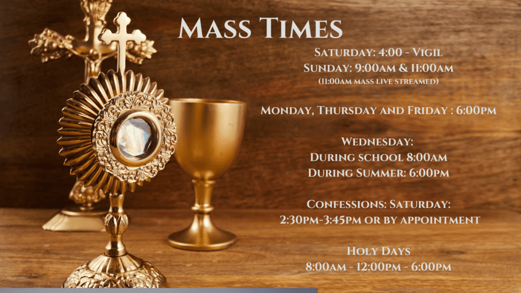 Mass Schedule | Our Lady of Angels Catholic Church